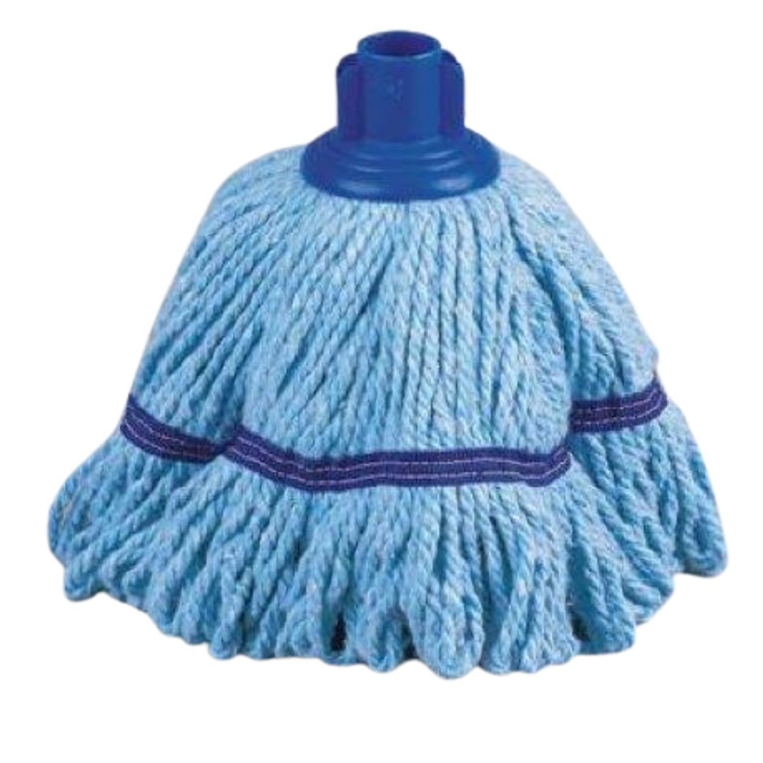 Biofresh Mop Blue 300gm Each